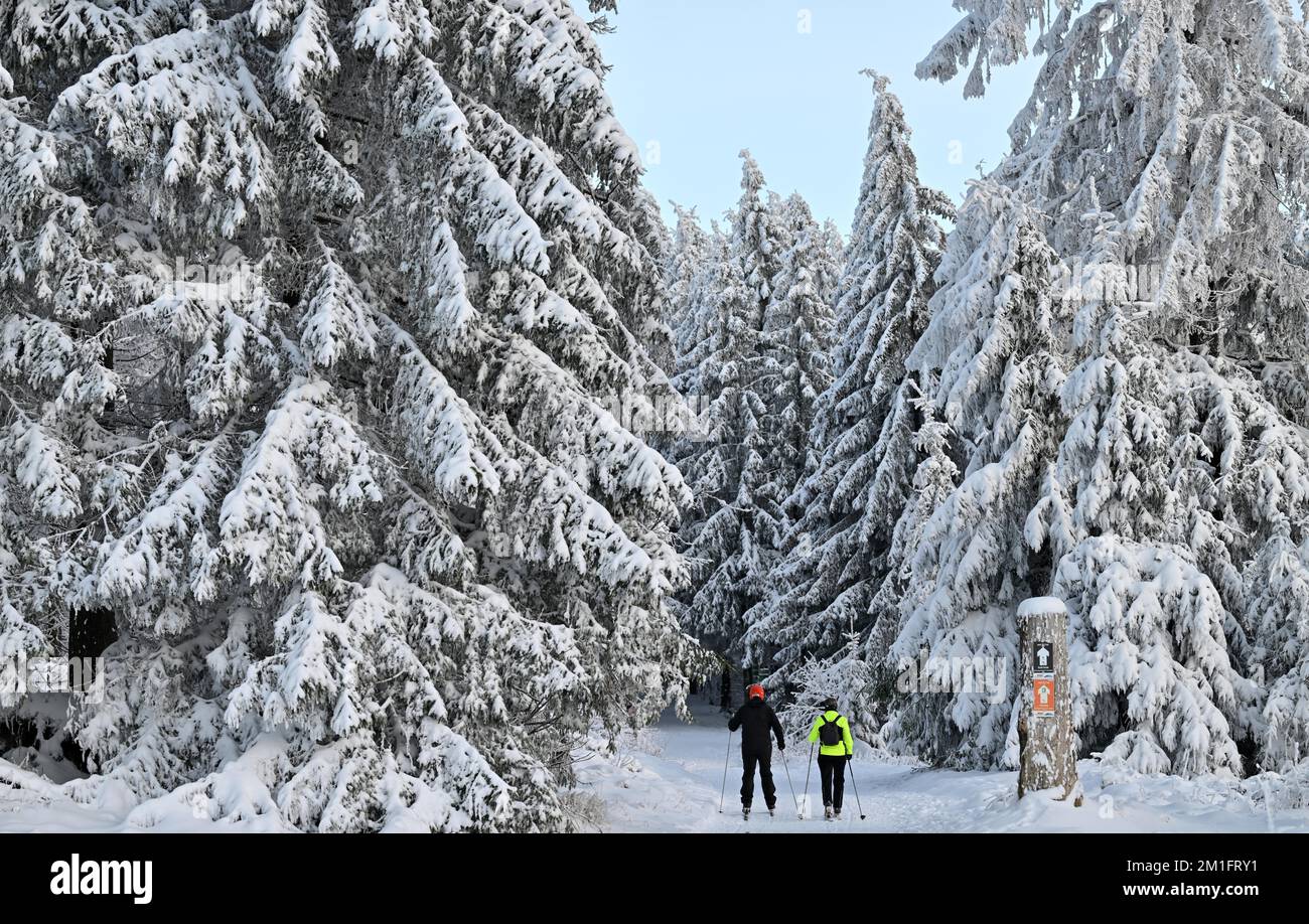 Oberhof, Germany. 12th Dec, 2022. Two people wade through the snow in ...