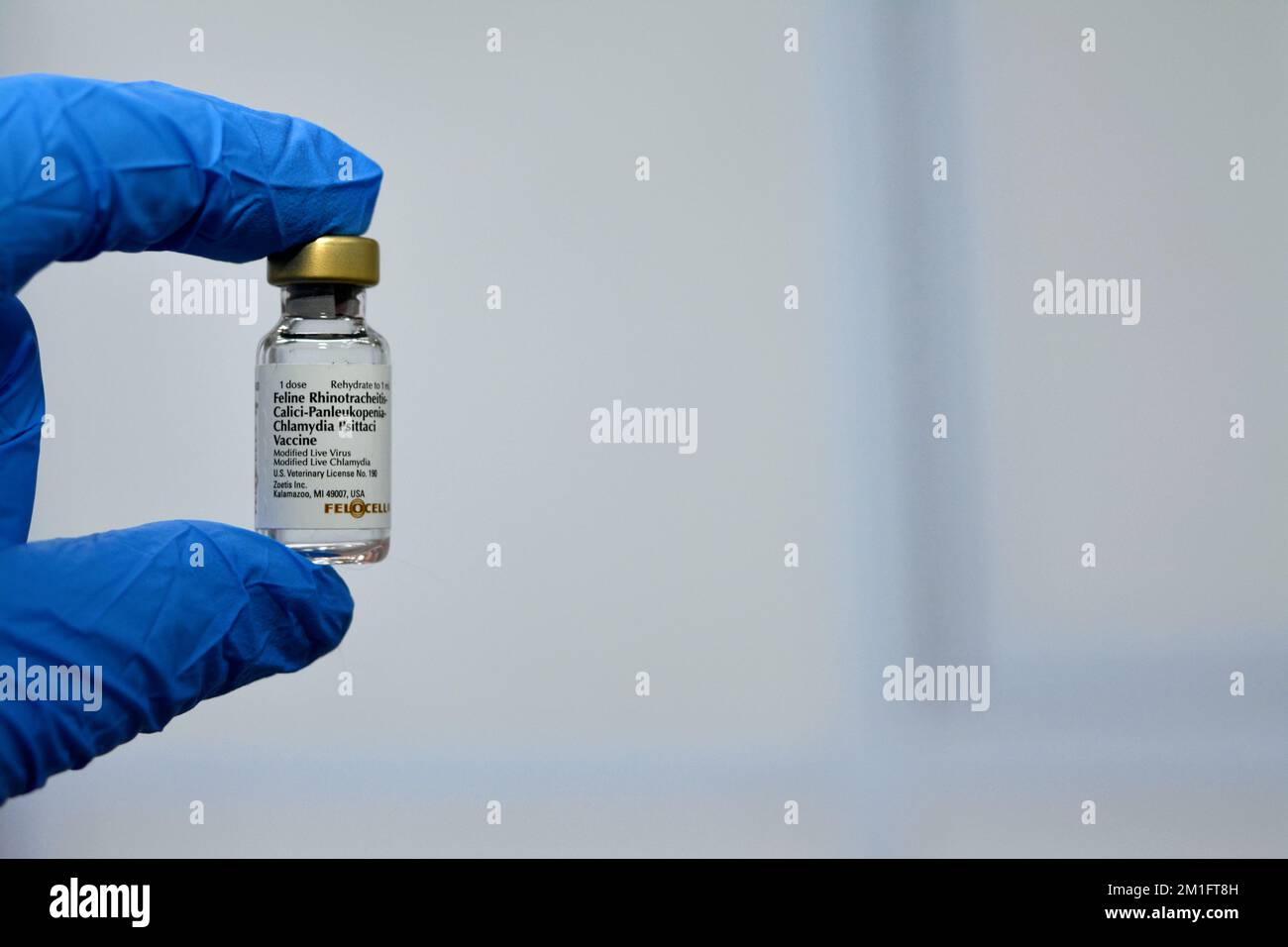 Cairo, Egypt, December 8 2022: Felocell 4, modified live attenuated ...