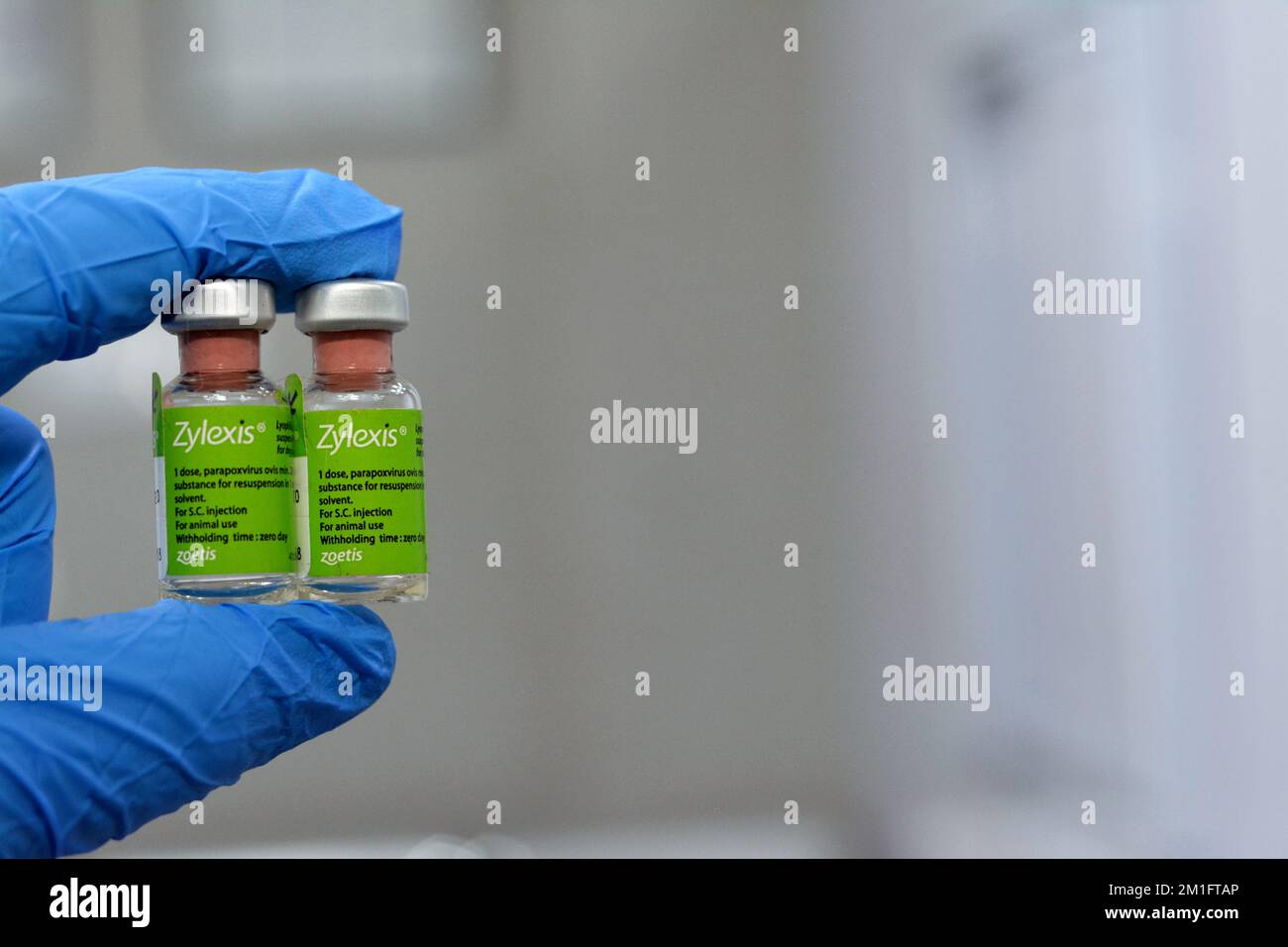 Cairo, Egypt, December 8 2022: Zylexis vaccine for prevention and ...