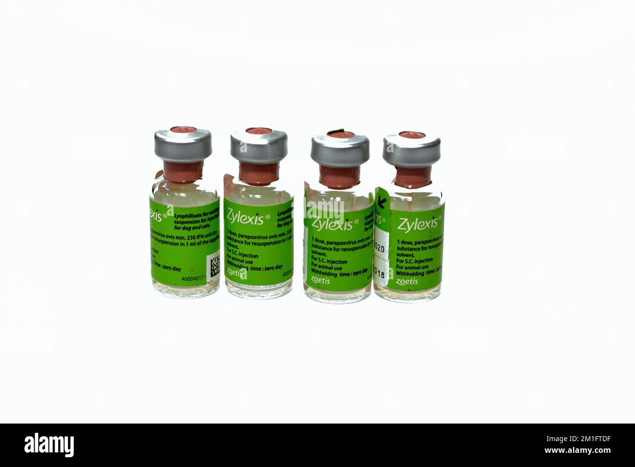 Cairo, Egypt, December 8 2022: Zylexis vaccine for prevention and ...