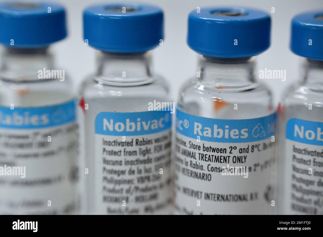 Cairo, Egypt, December 8 2022: Nobivac Rabies stable inactivated ...