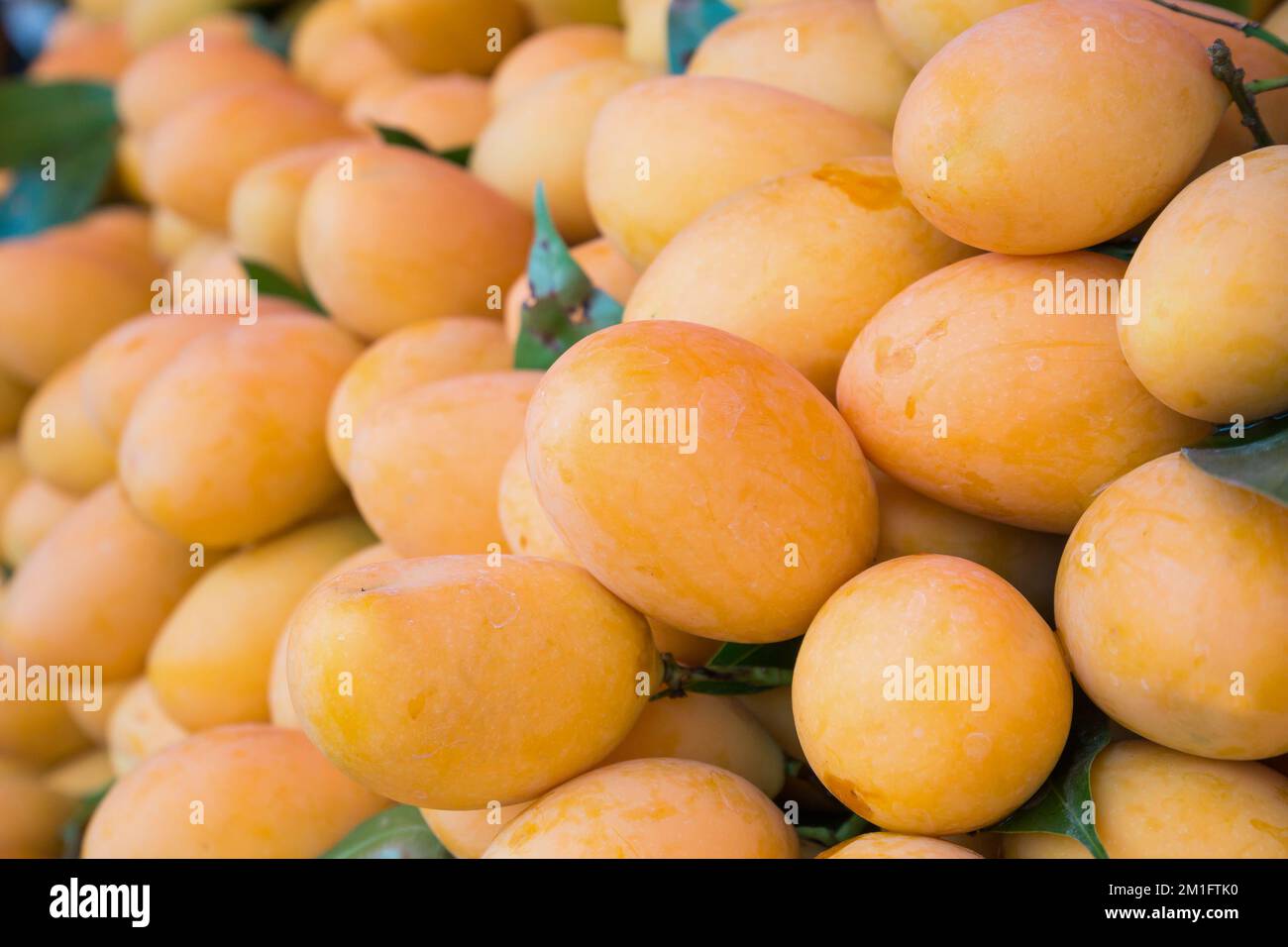 Plum mango hi-res stock photography and images - Alamy