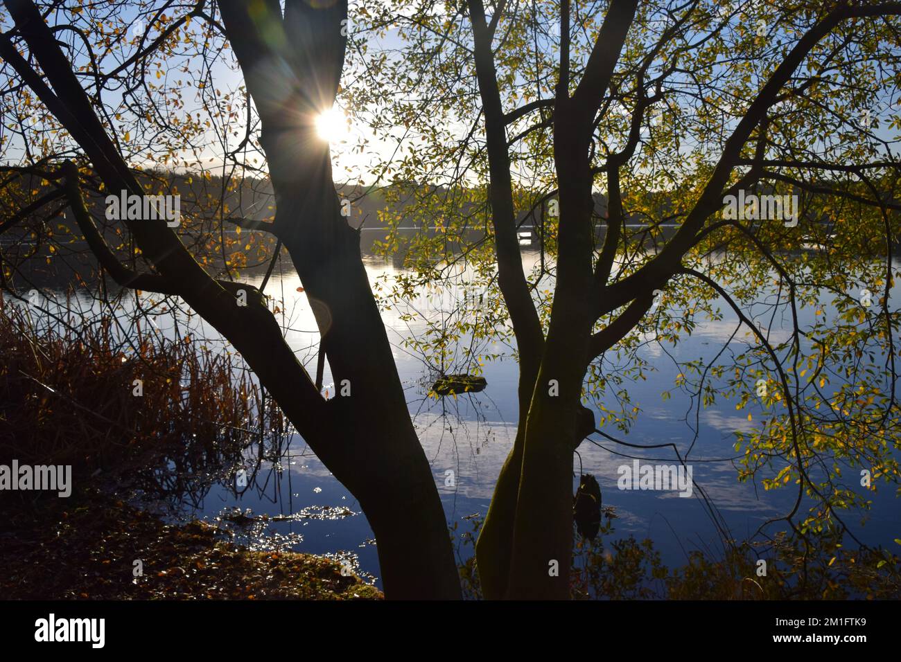 Blakemere moss cheshire hi-res stock photography and images - Alamy