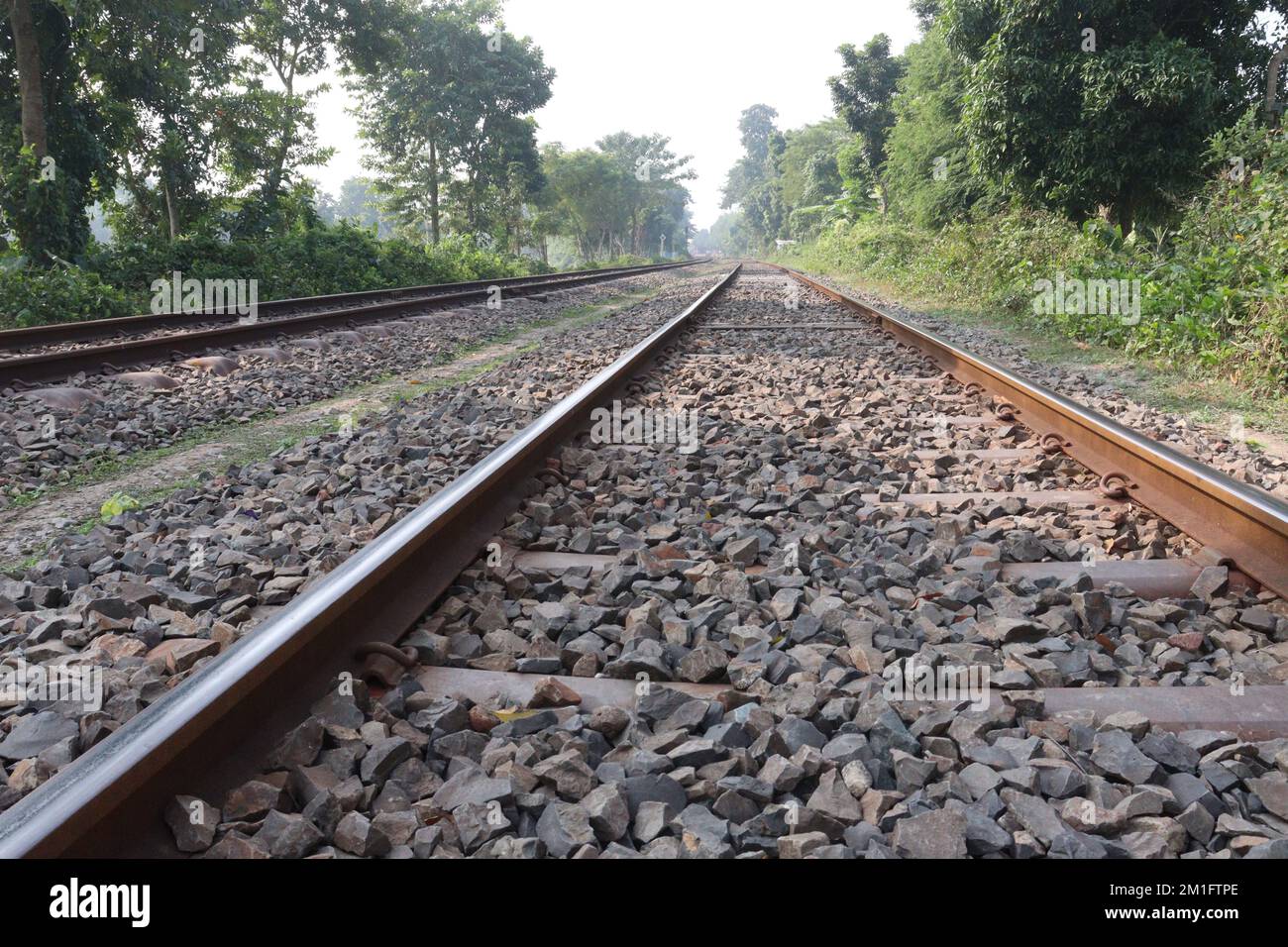 Narrow gauge railway on ground for rail Stock Photo - Alamy