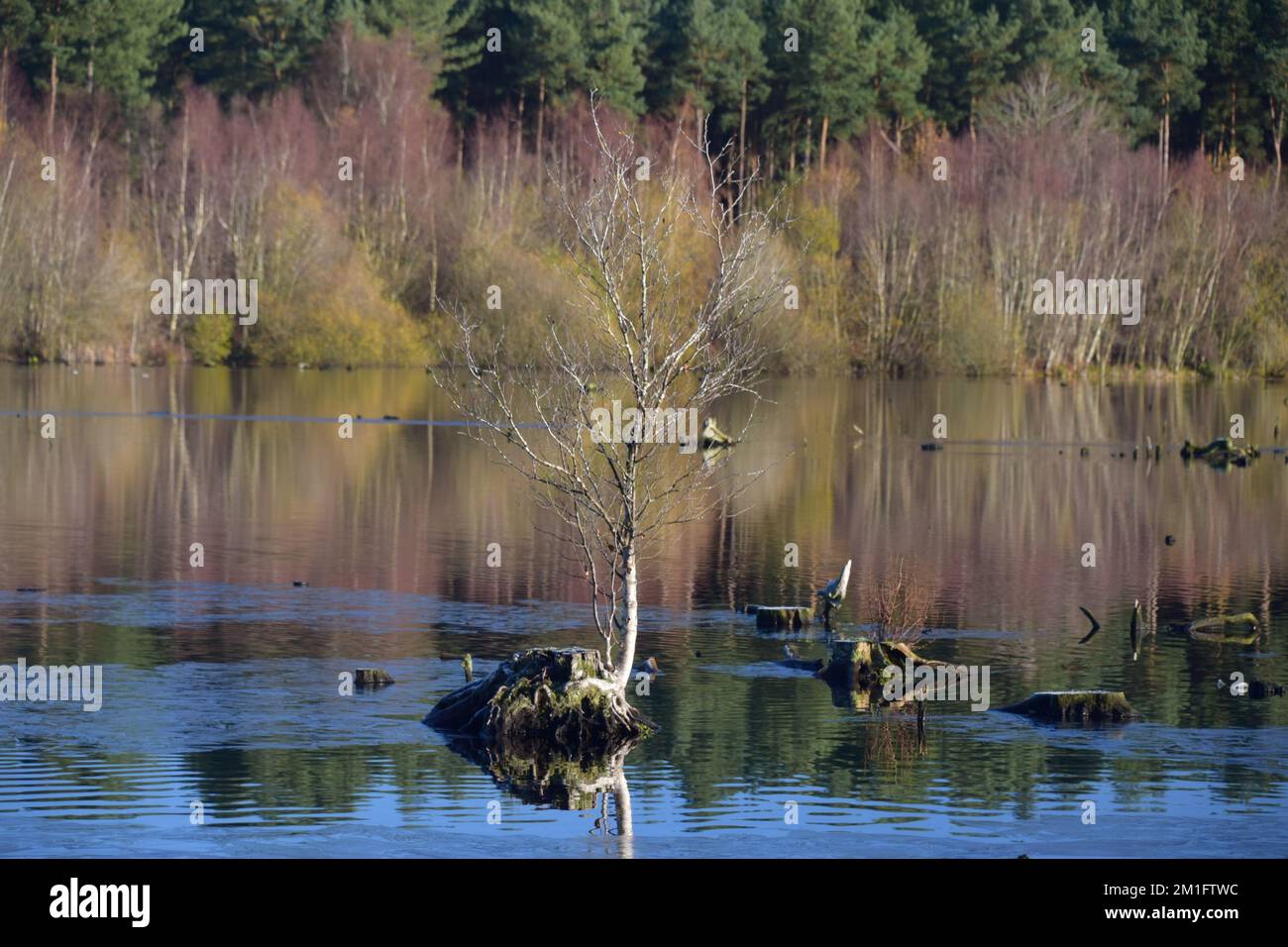 Cheshire scenic winter hi-res stock photography and images - Alamy