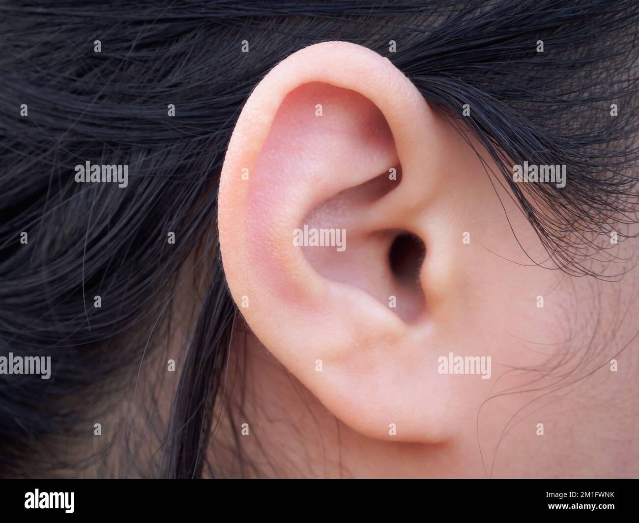 Female human ear closeup Stock Photo - Alamy