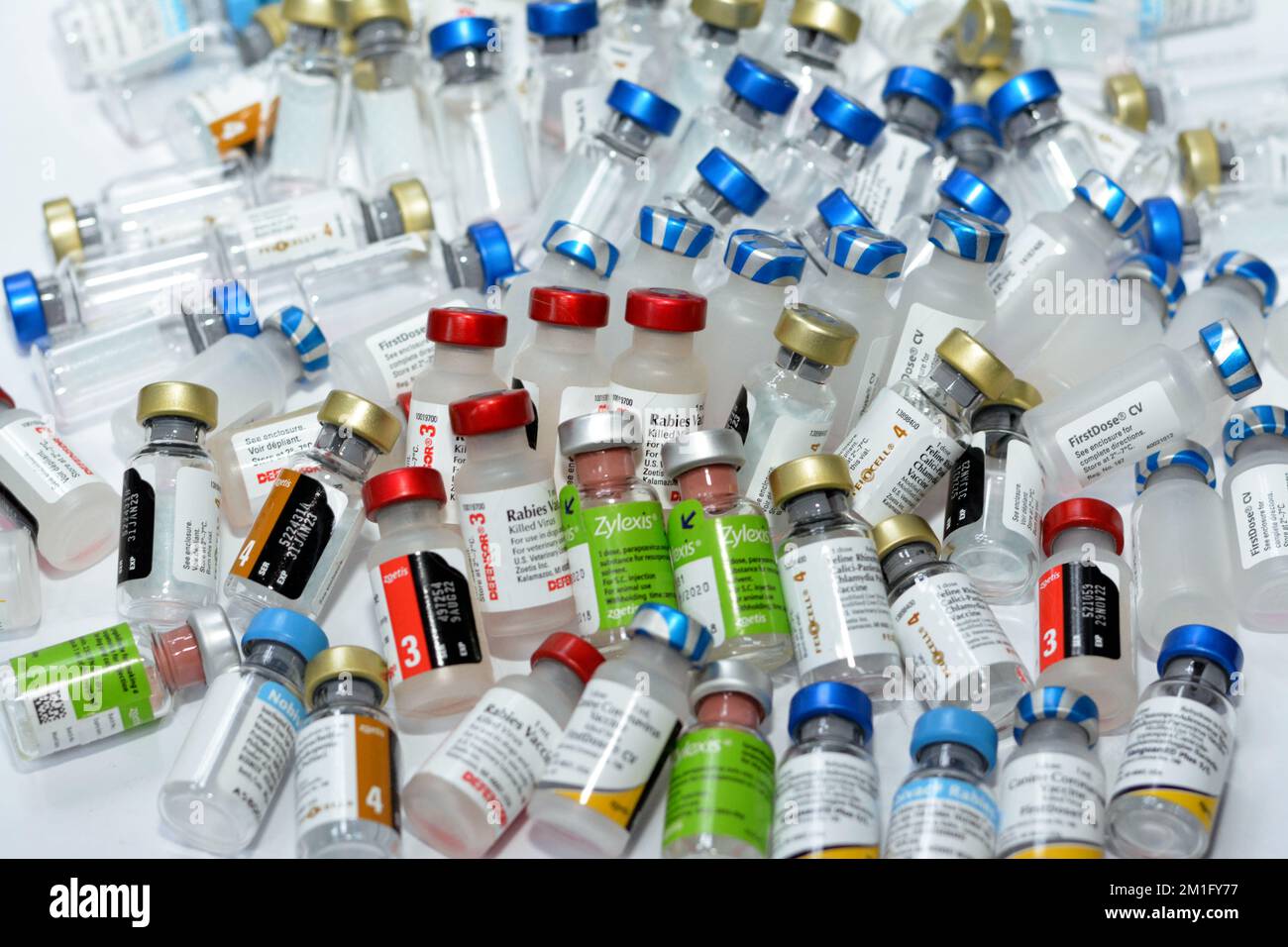 Cairo, Egypt, December 8 2022: Background of various and different ...