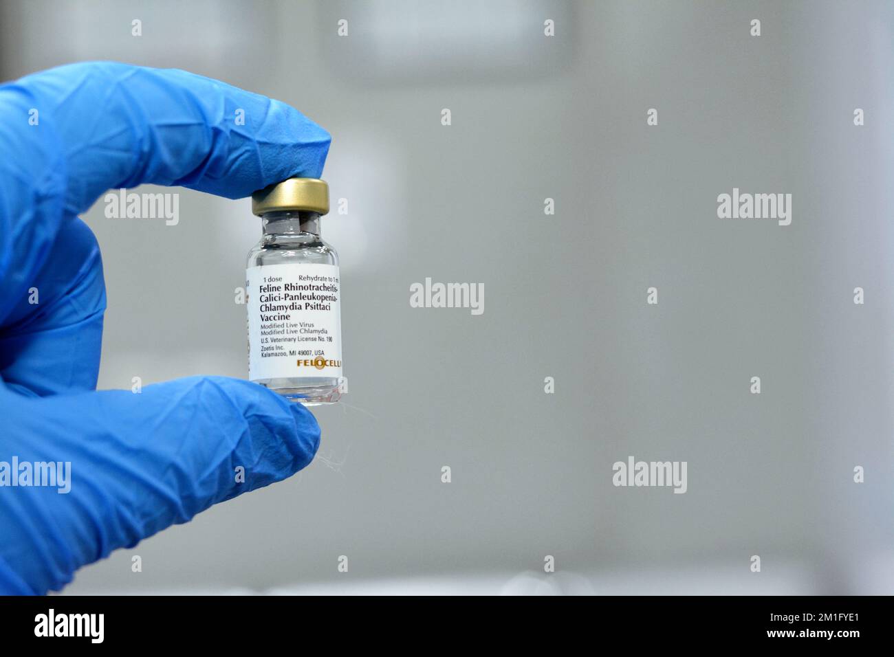 Cairo, Egypt, December 8 2022: Felocell 4, modified live attenuated ...