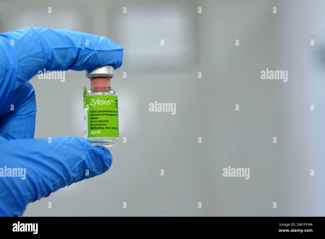 Cairo, Egypt, December 8 2022: Zylexis vaccine for prevention and ...