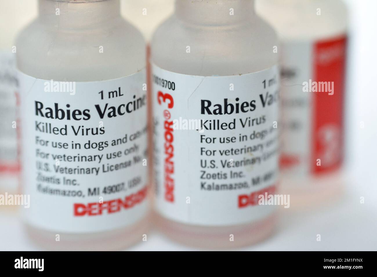 Cairo, Egypt, December 8 2022: Rabis vaccine killed virus for use of ...