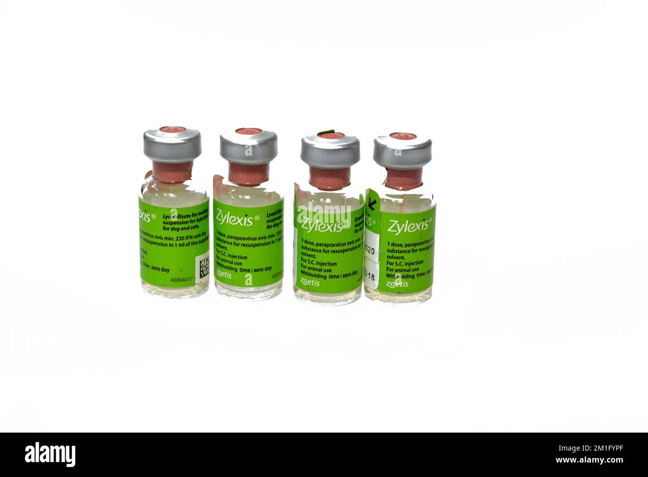 Cairo, Egypt, December 8 2022: Zylexis vaccine for prevention and ...