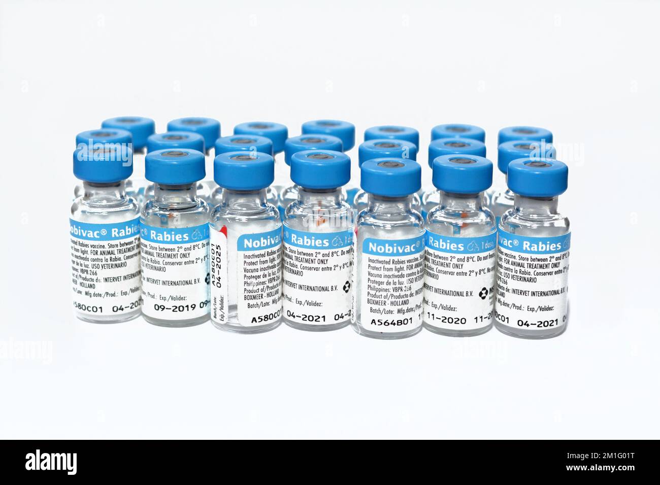 Cairo, Egypt, December 8 2022: Nobivac Rabies stable inactivated ...