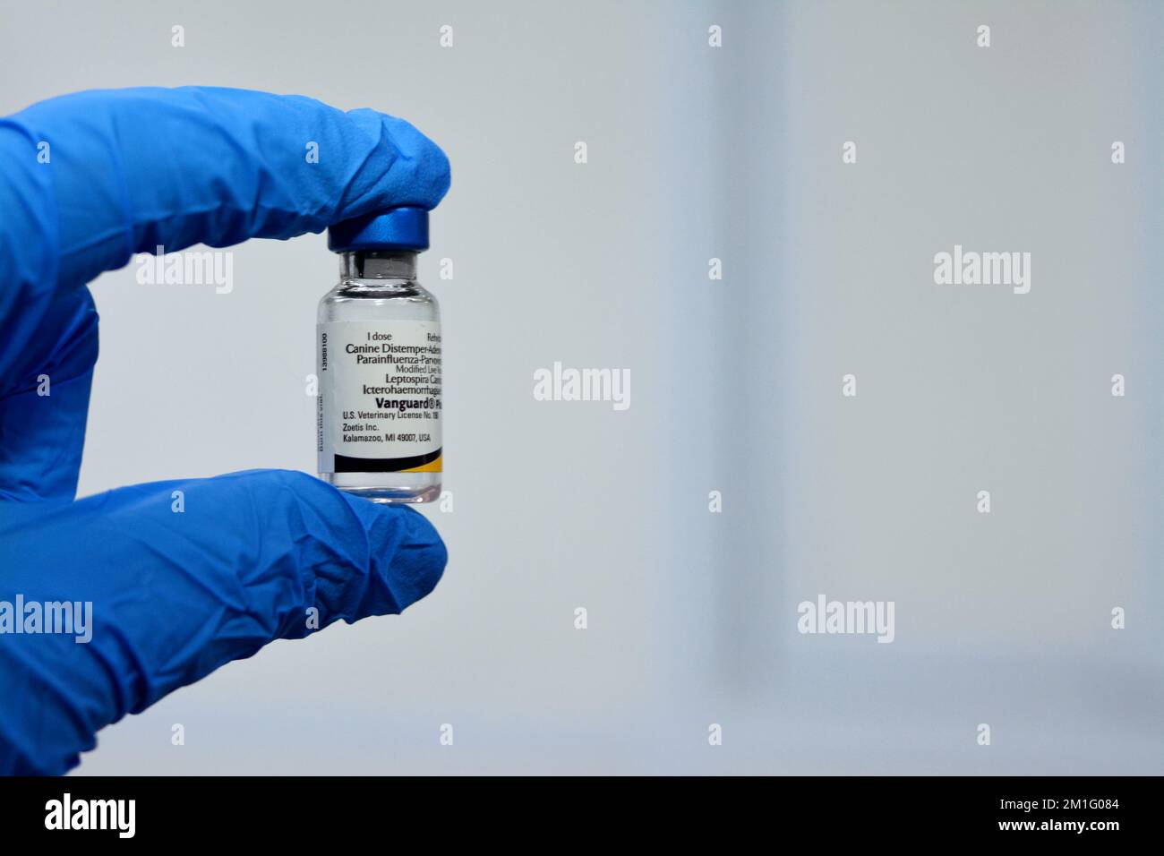 Cairo, Egypt, December 8 2022: Vanguard plus 5 CV-L vaccine for dogs ...