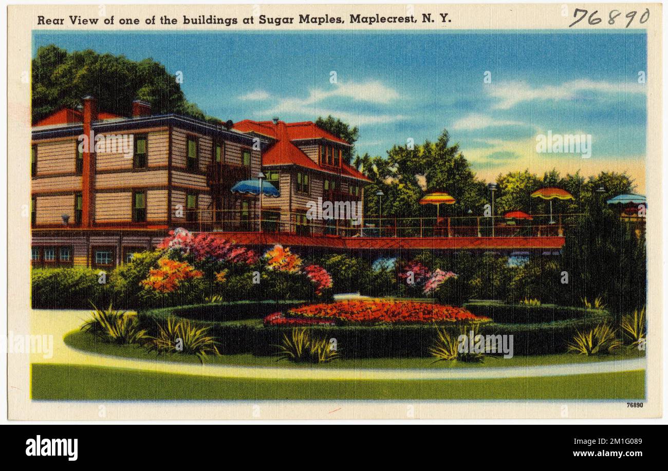 Rear view of one of the buildings at Sugar Maples, Maplecrest, N. Y ...