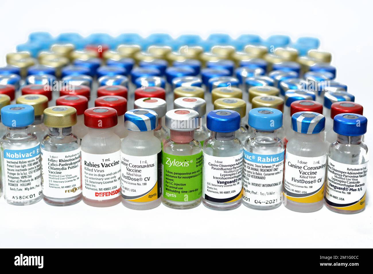 Cairo, Egypt, December 8 2022: Background of various and different ...