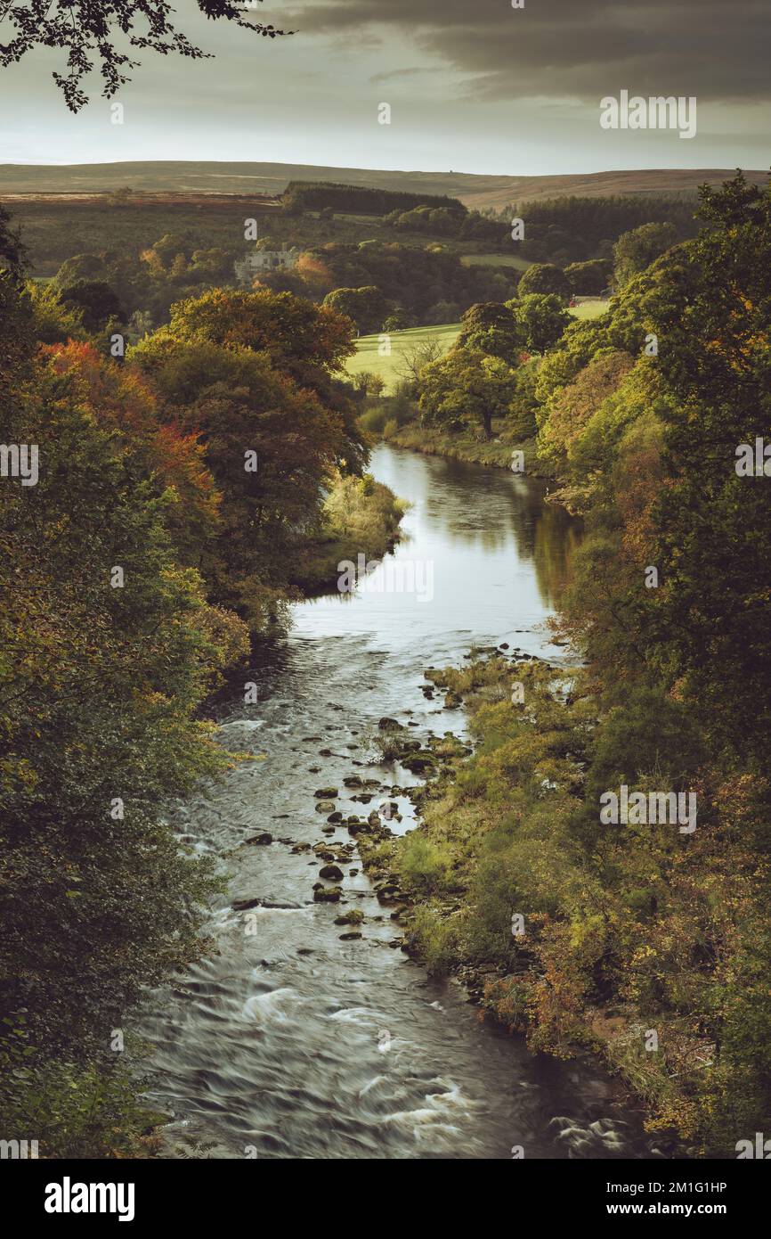 Autumn long-distance view upstream of River Wharfe, old historic Barden ...