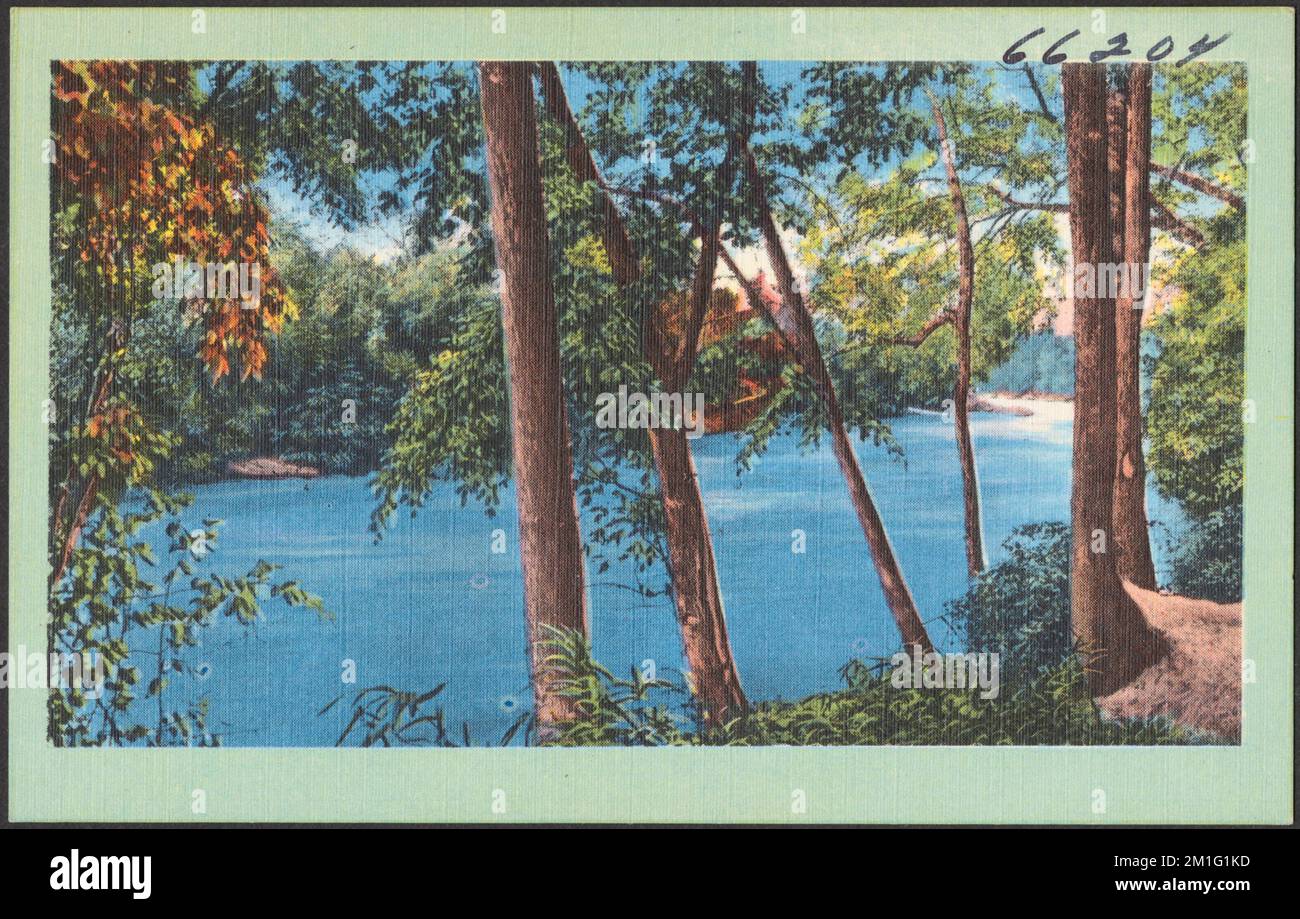 River seen through trees , Rivers, Trees, Tichnor Brothers Collection ...