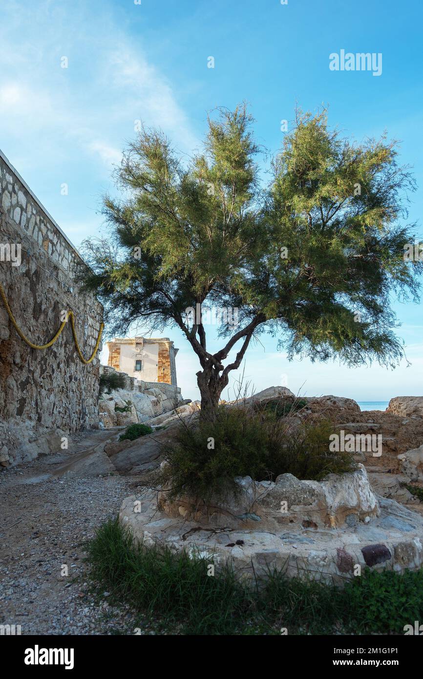 Ligny tower trapani hi-res stock photography and images - Alamy