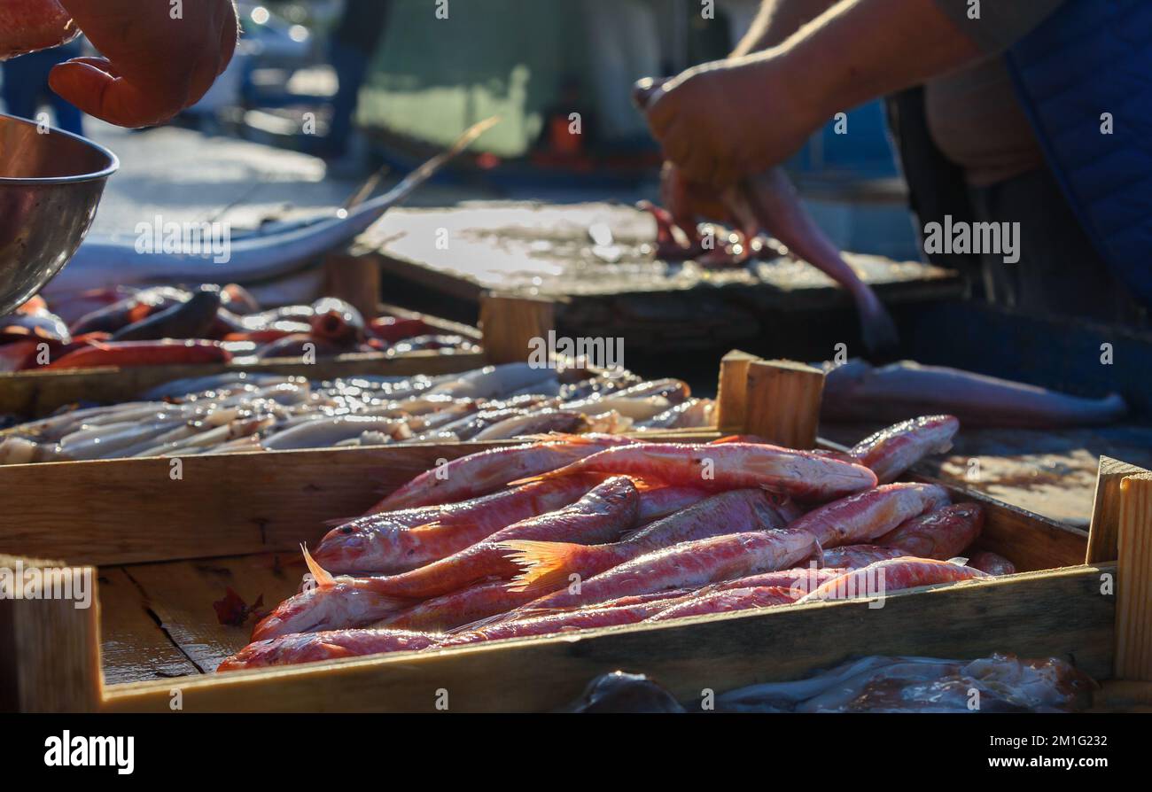 View of the street fish market Stock Photo - Alamy
