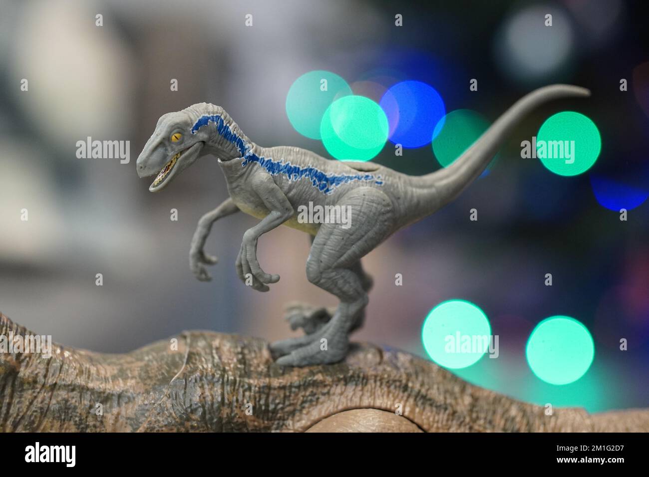 A Mattel brand blue velociraptor toy figure dinosaur from the Jurassic ...
