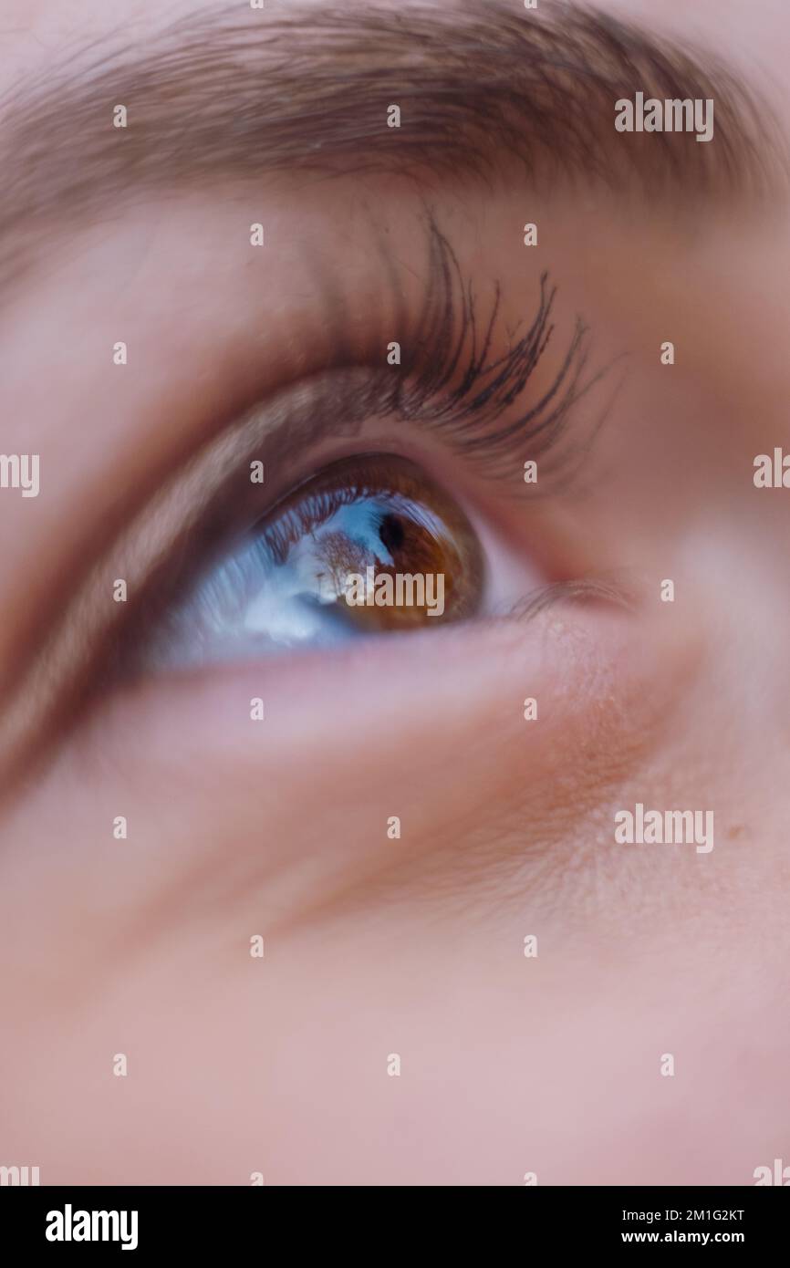 Close up eye makeup hi-res stock photography and images - Alamy