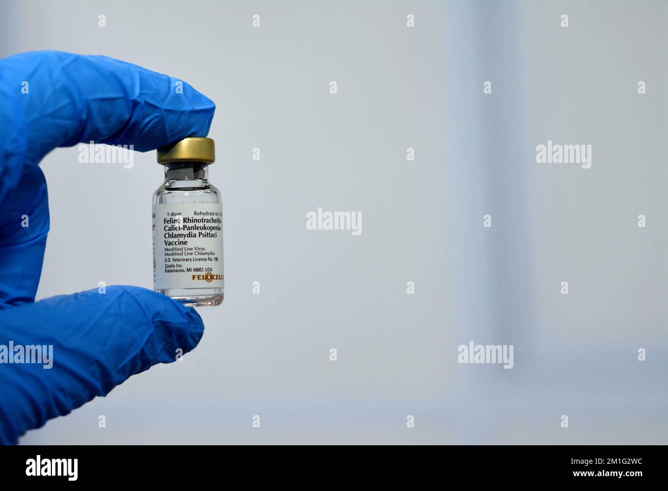 Cairo, Egypt, December 8 2022: Felocell 4, modified live attenuated ...