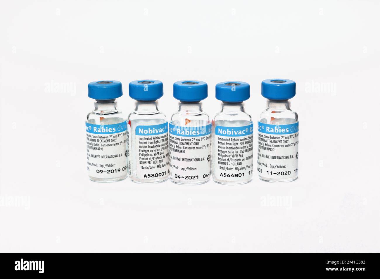 Cairo, Egypt, December 8 2022: Nobivac Rabies stable inactivated ...