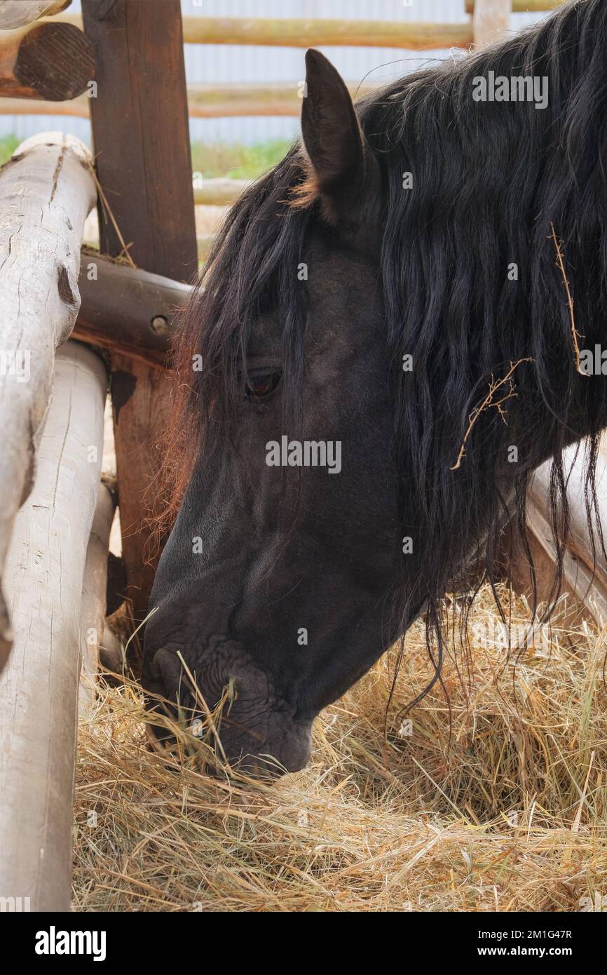 Rural area village hi-res stock photography and images - Alamy