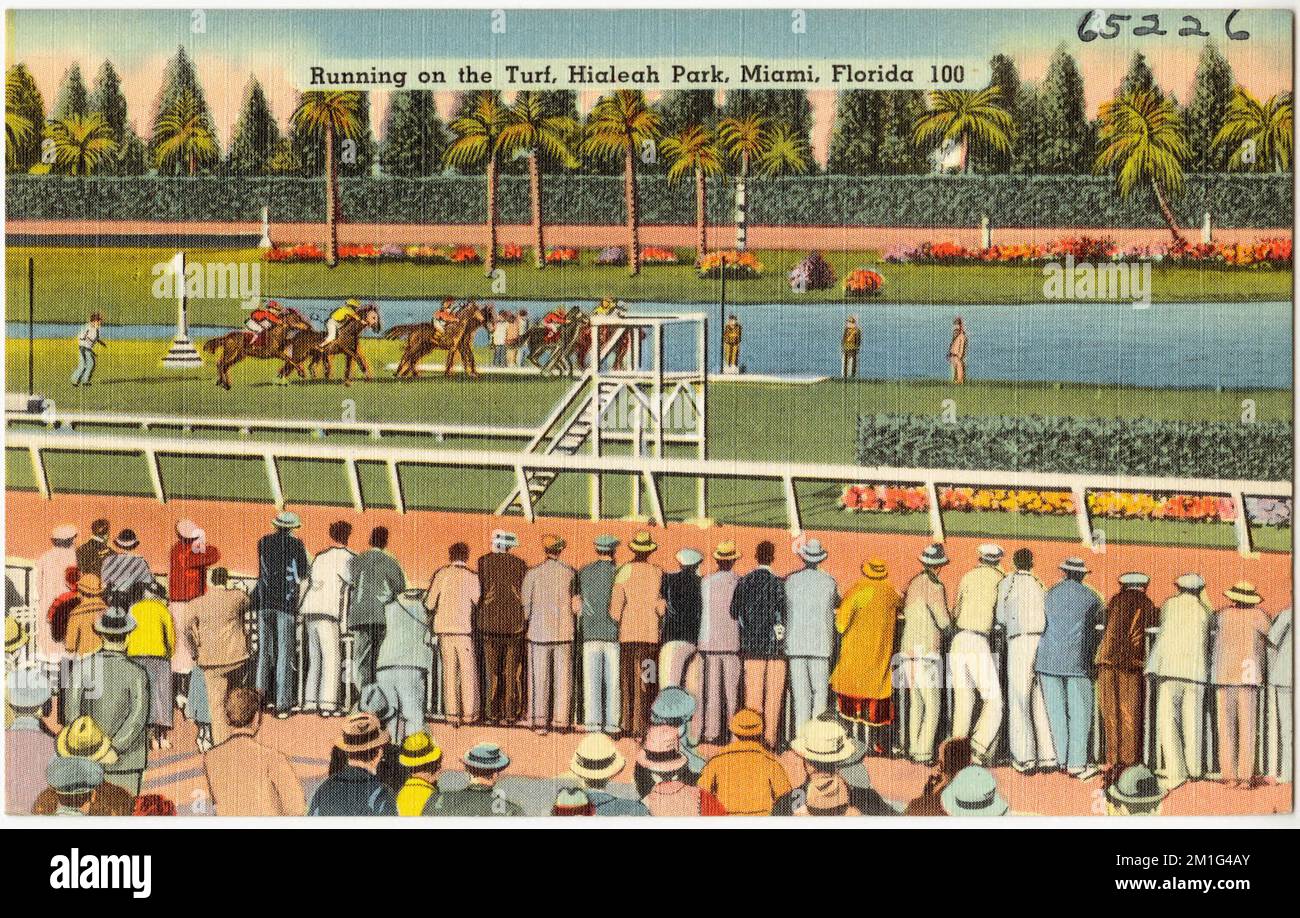 Running on the turf, Hialeah Park, Miami, Florida , Sports & recreation ...