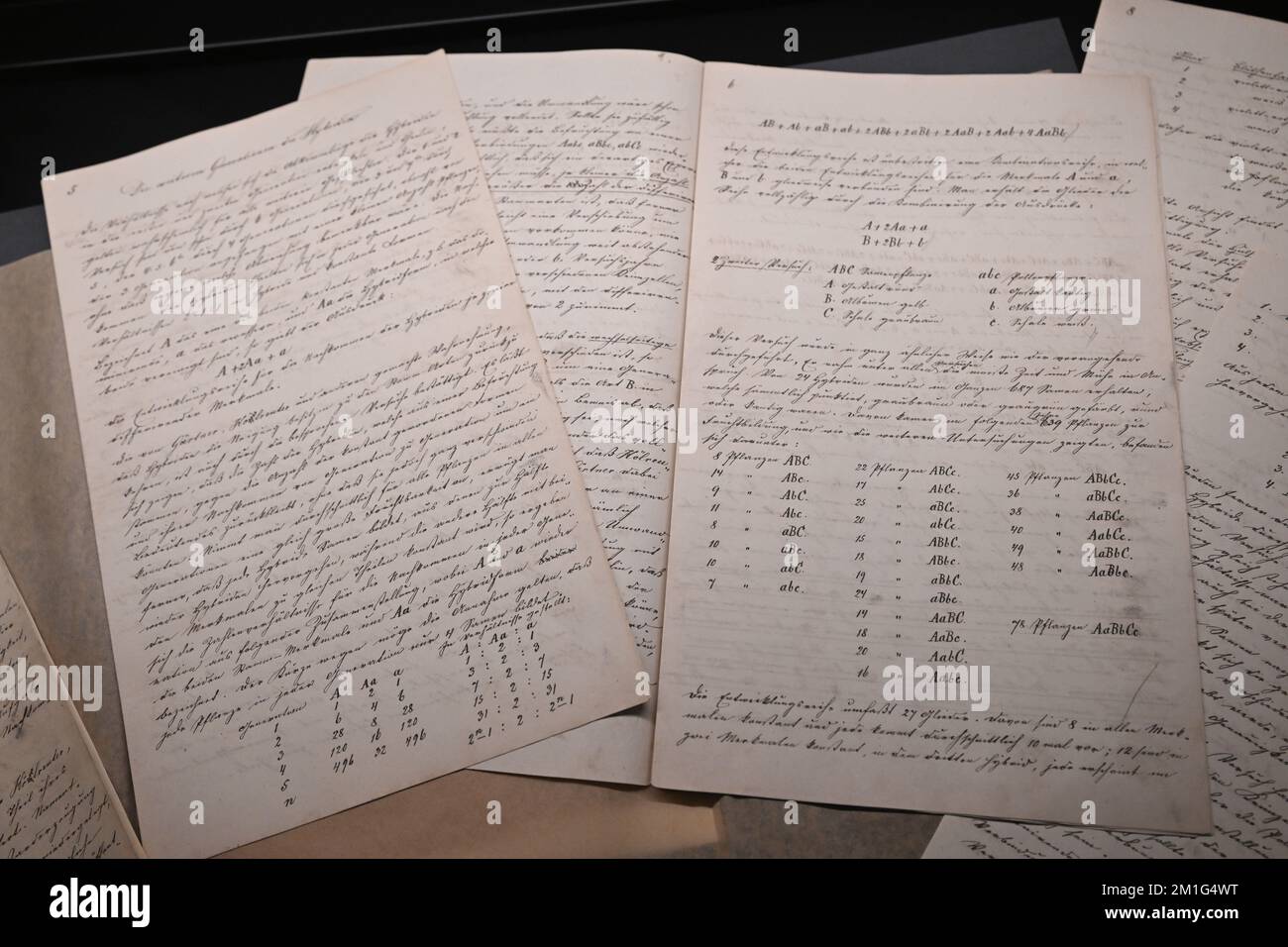 Brno gregor mendel museum hi-res stock photography and images - Alamy