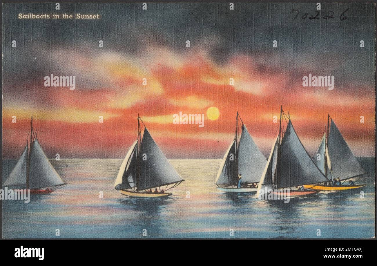 Sailboats in the sunset , Sailboats, Seas, Sunrises & sunsets, Tichnor ...