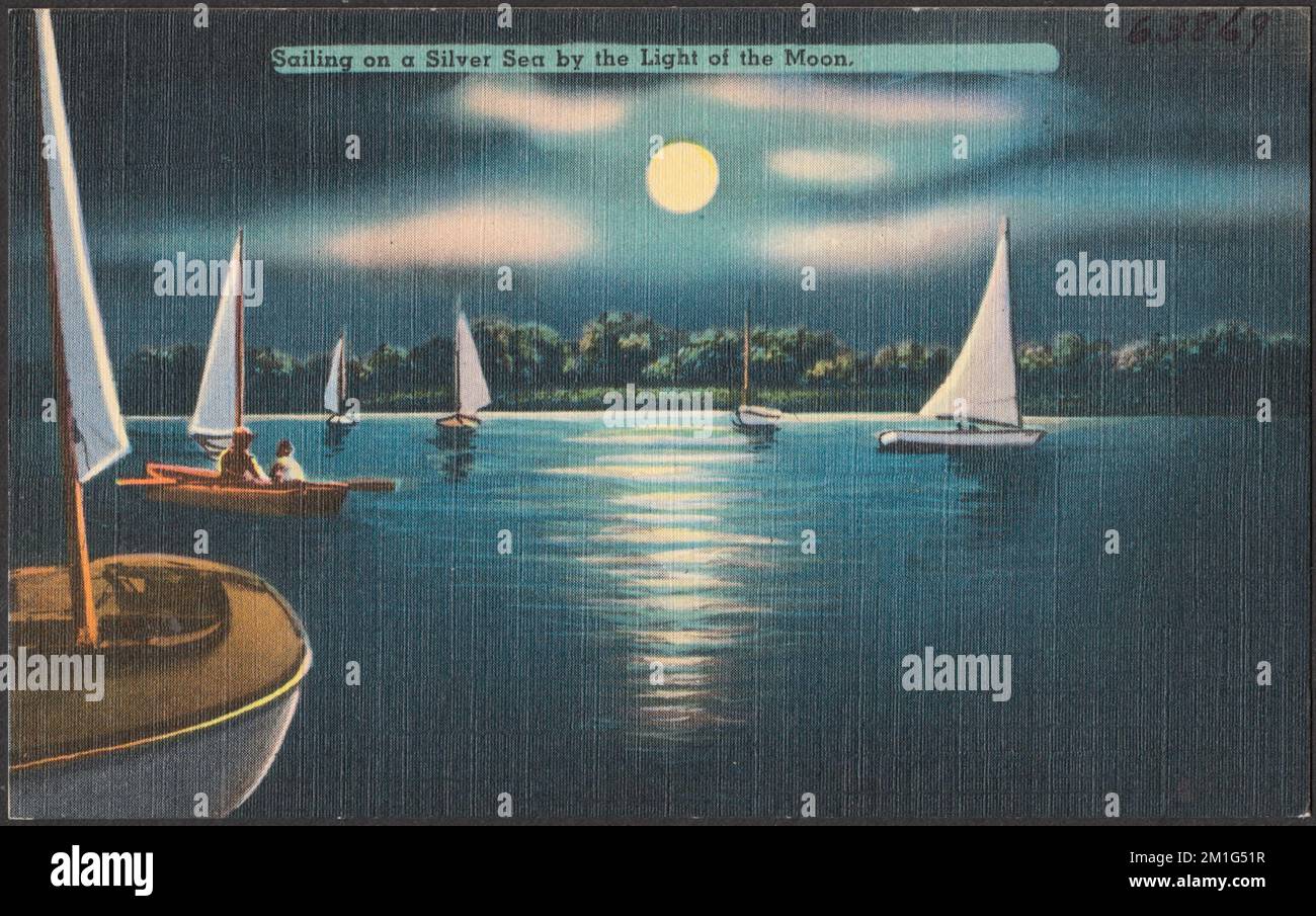 Sailing on a silver sea by the light of the moon , Sailboats, Seas ...