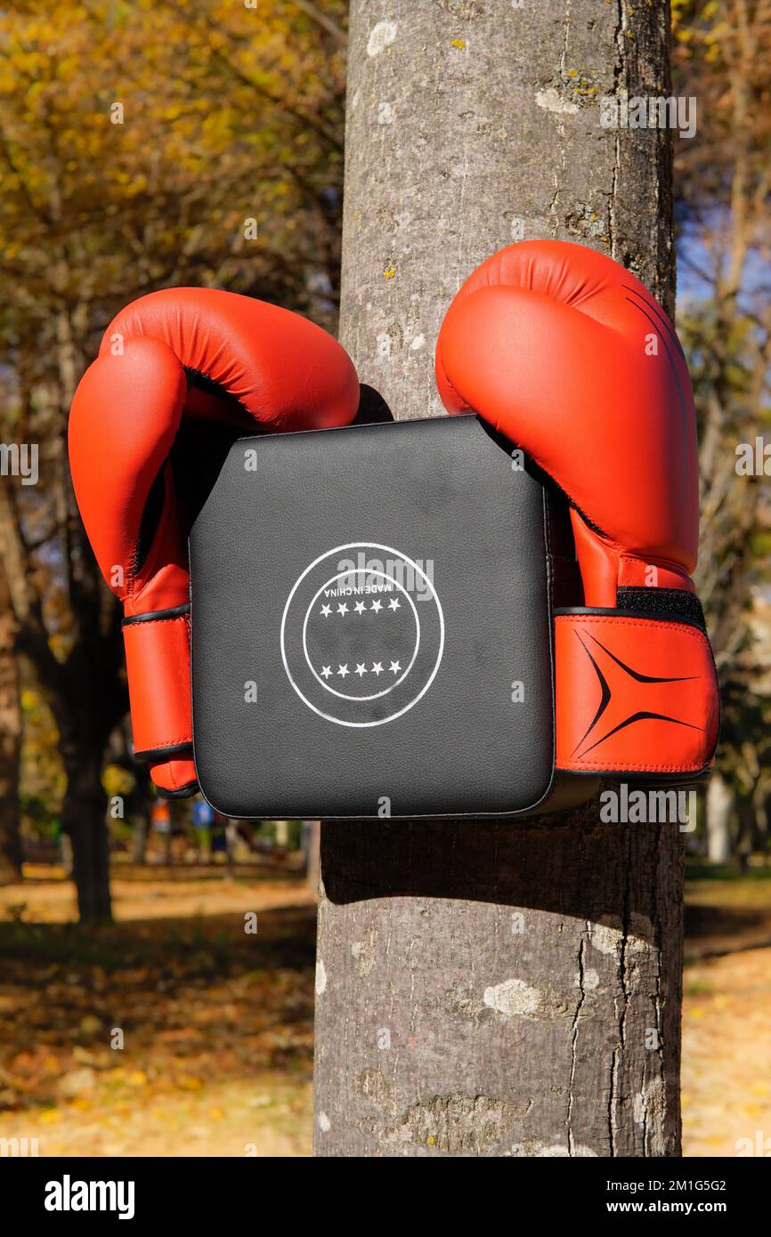 close up of boxing glove and pad hanging on a tree. sport in nature ...