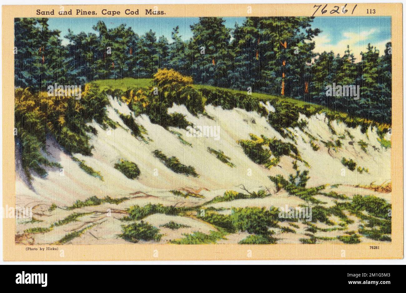 Sand and pines, Cape Cod, Mass. , Dunes, Pines, Tichnor Brothers ...