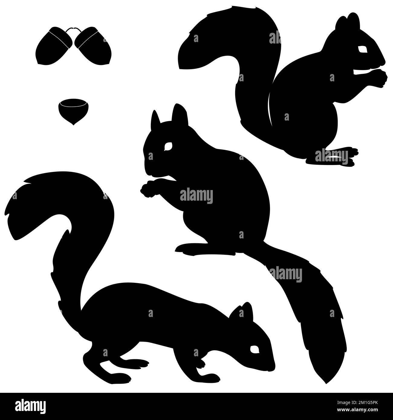 Squirrel holding nut eating Black and White Stock Photos & Images - Alamy