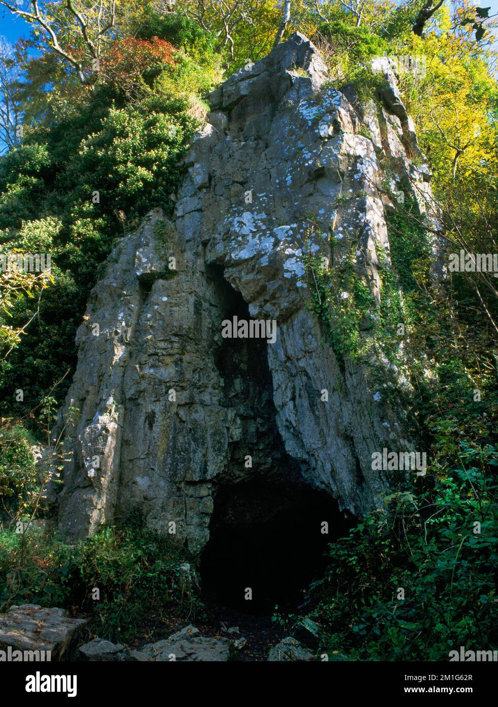 View NE of the entrance to Cathole Cave, Gower, Swansea, Wales, UK, in ...