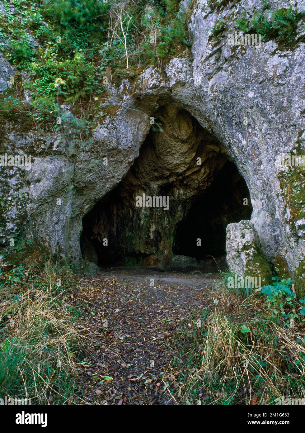 Hoyles mouth cave hi-res stock photography and images - Alamy