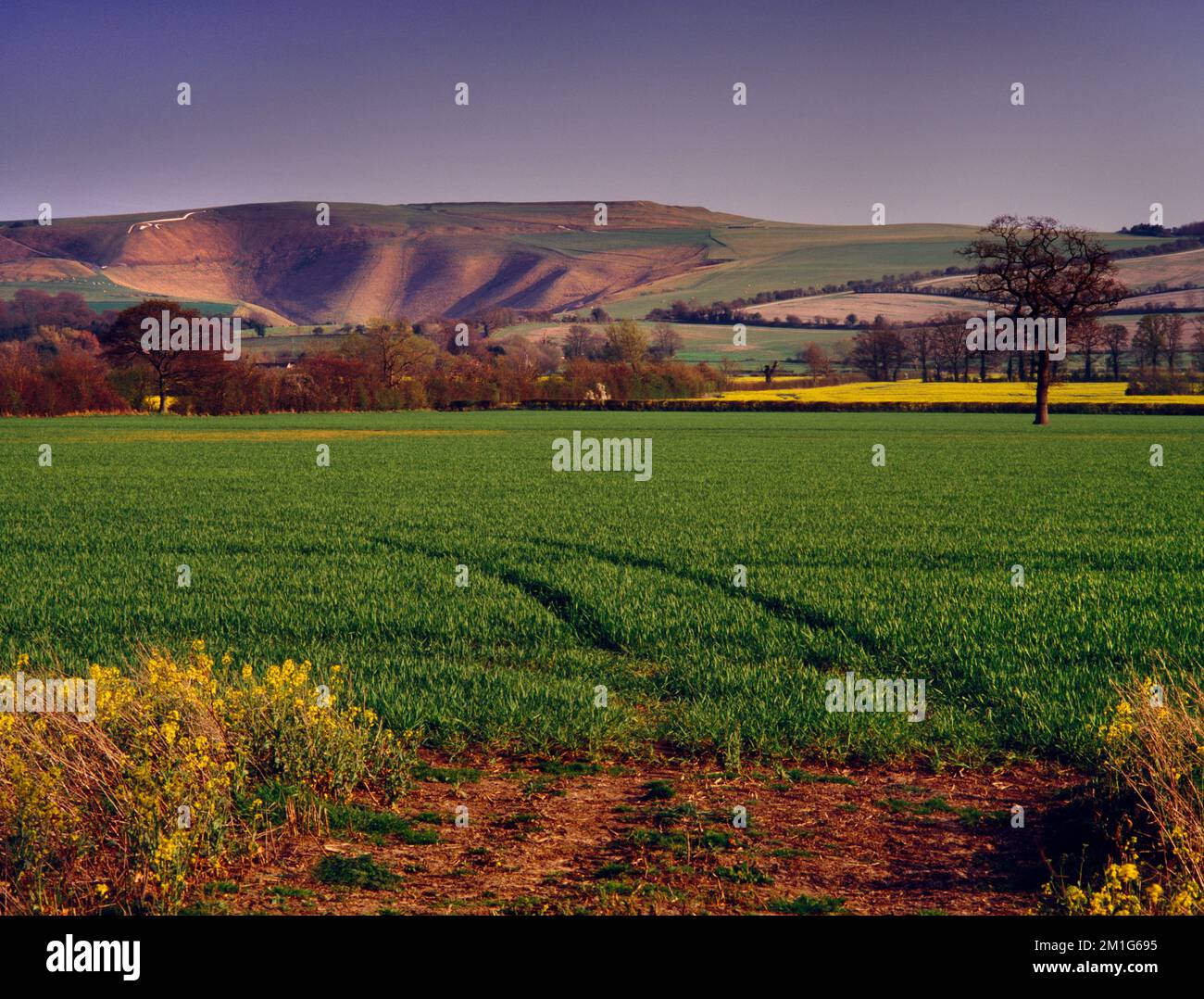 View SE of Dragon Hill & the Uffington White Horse (L), The Manger ...