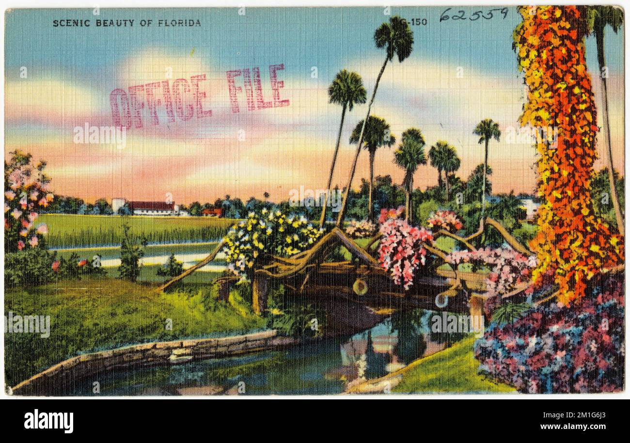 Scenic beauty of Florida , Tichnor Brothers Collection, postcards of ...