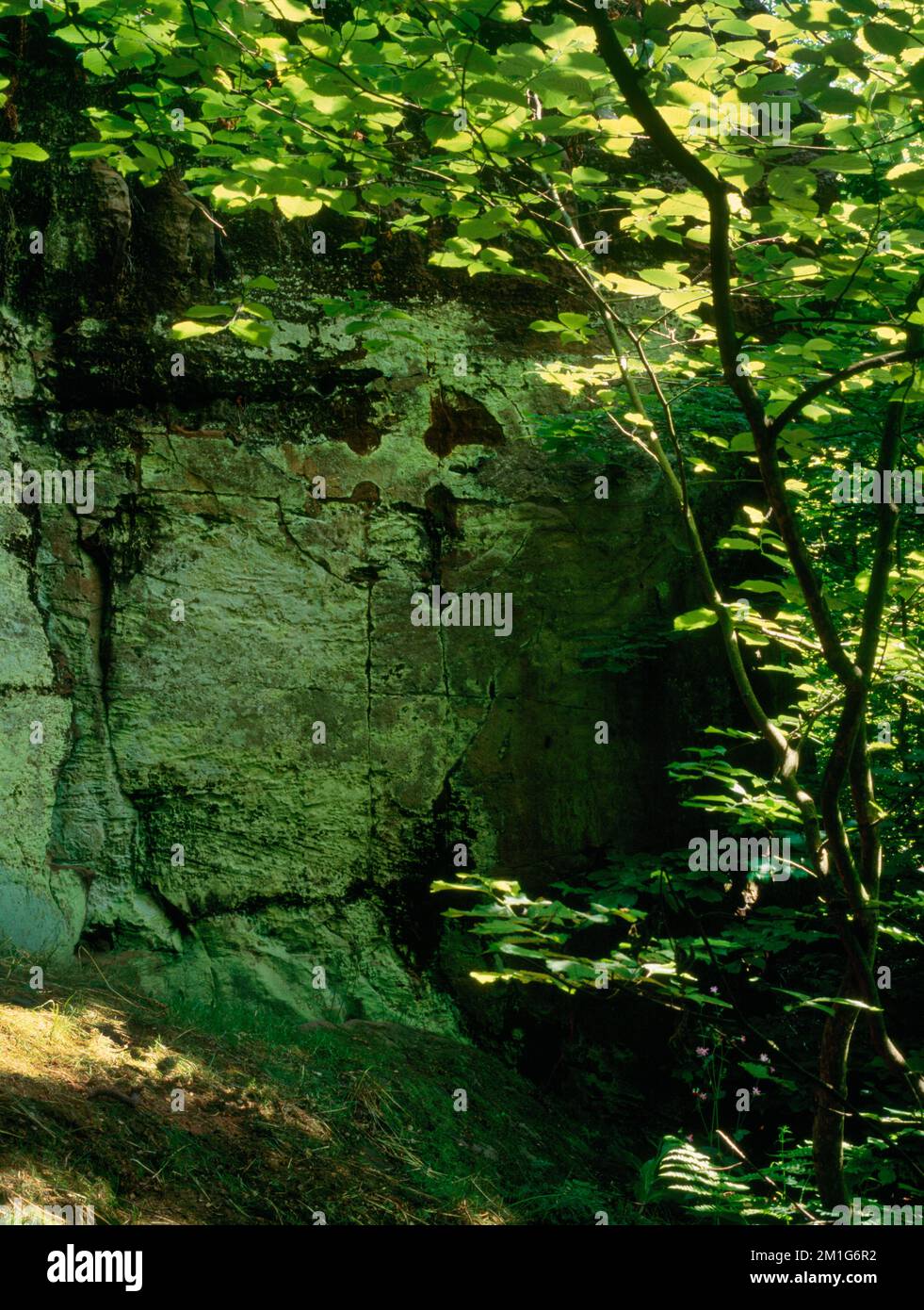 View E of a Celtic ringed linear cross carved on a sandstone rock face ...