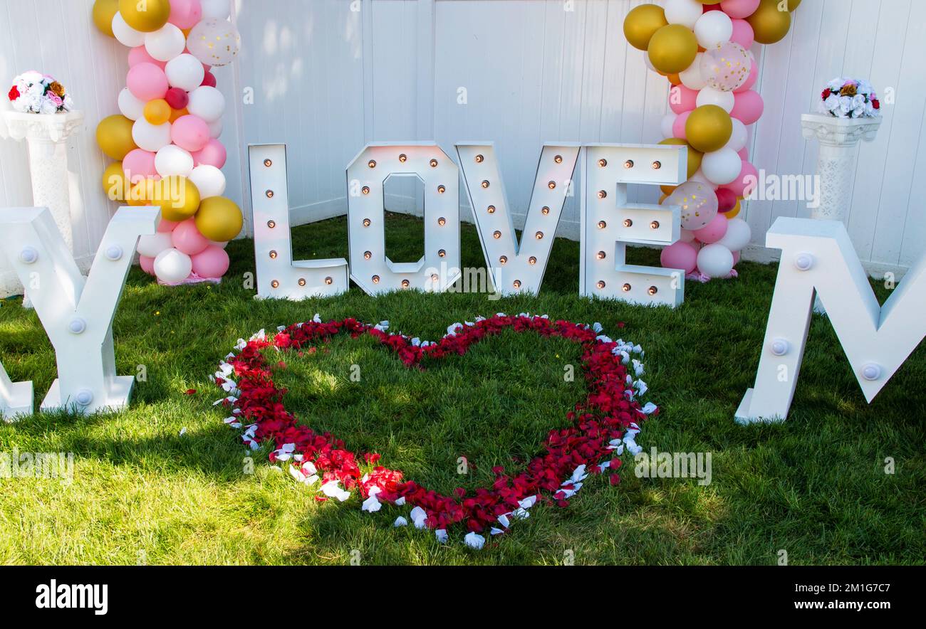 Heart shape made from rose pedals with LOVE sign set up for a marriage ...