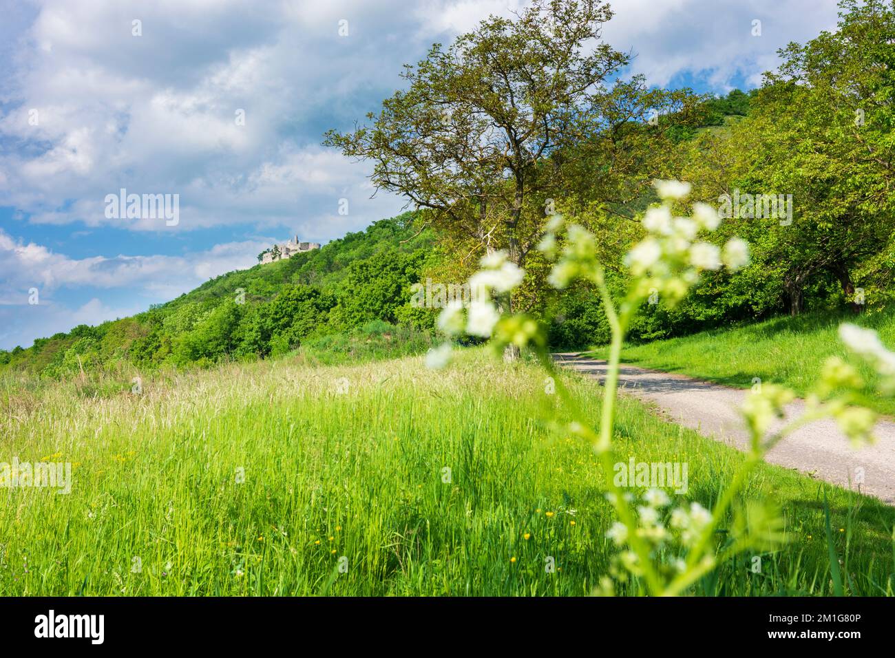 Plavecke Podhradie (Blasenstein, Plasenstein): Plavecky Castle (Burg ...