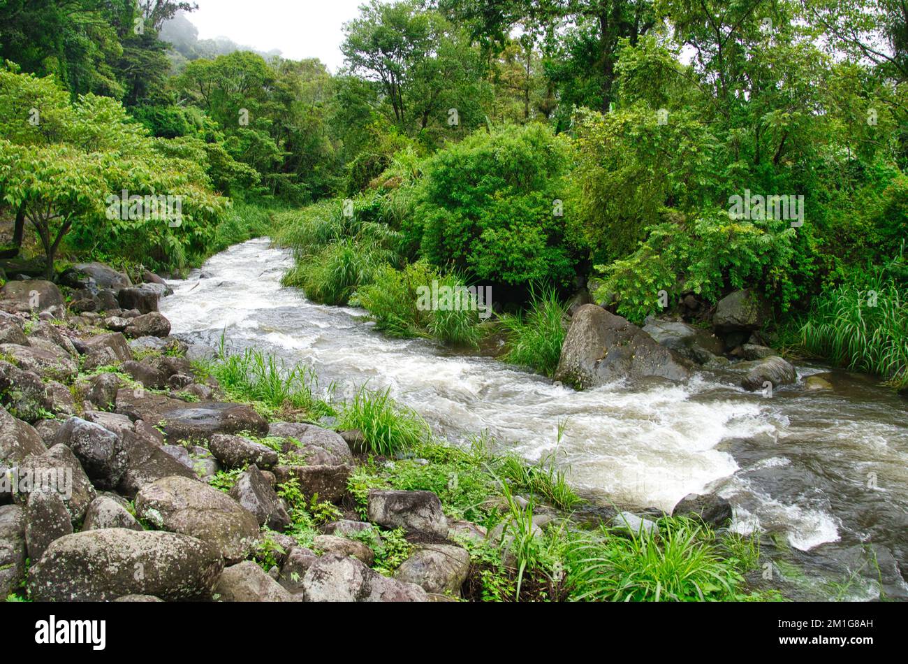 Beautiful shot streaming waterfall hi-res stock photography and images ...