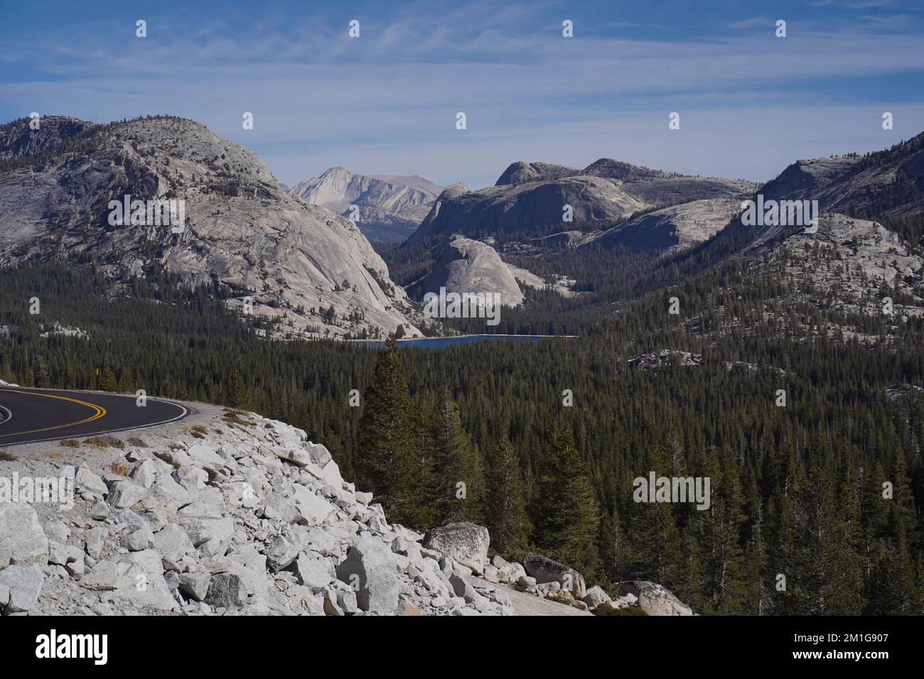 A beautiful shot of spruces growing on cliffs with a background of ...