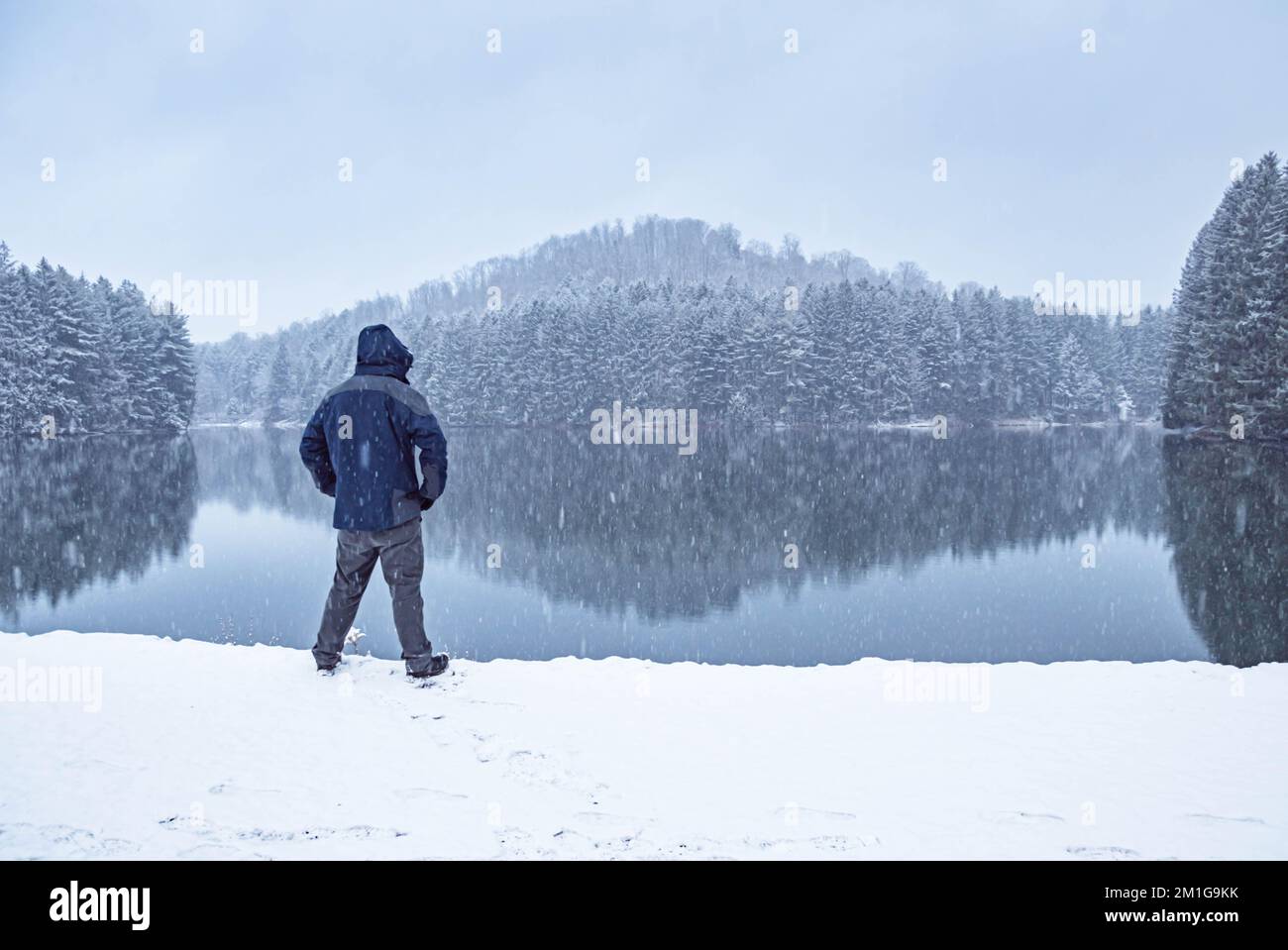 Hiker standing by a mountain lake during fresh snow fall, felling of ...