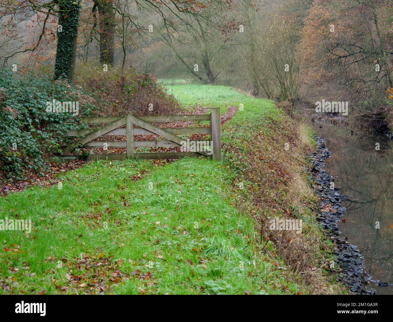 hiking at the dutch border in germany Stock Photo - Alamy