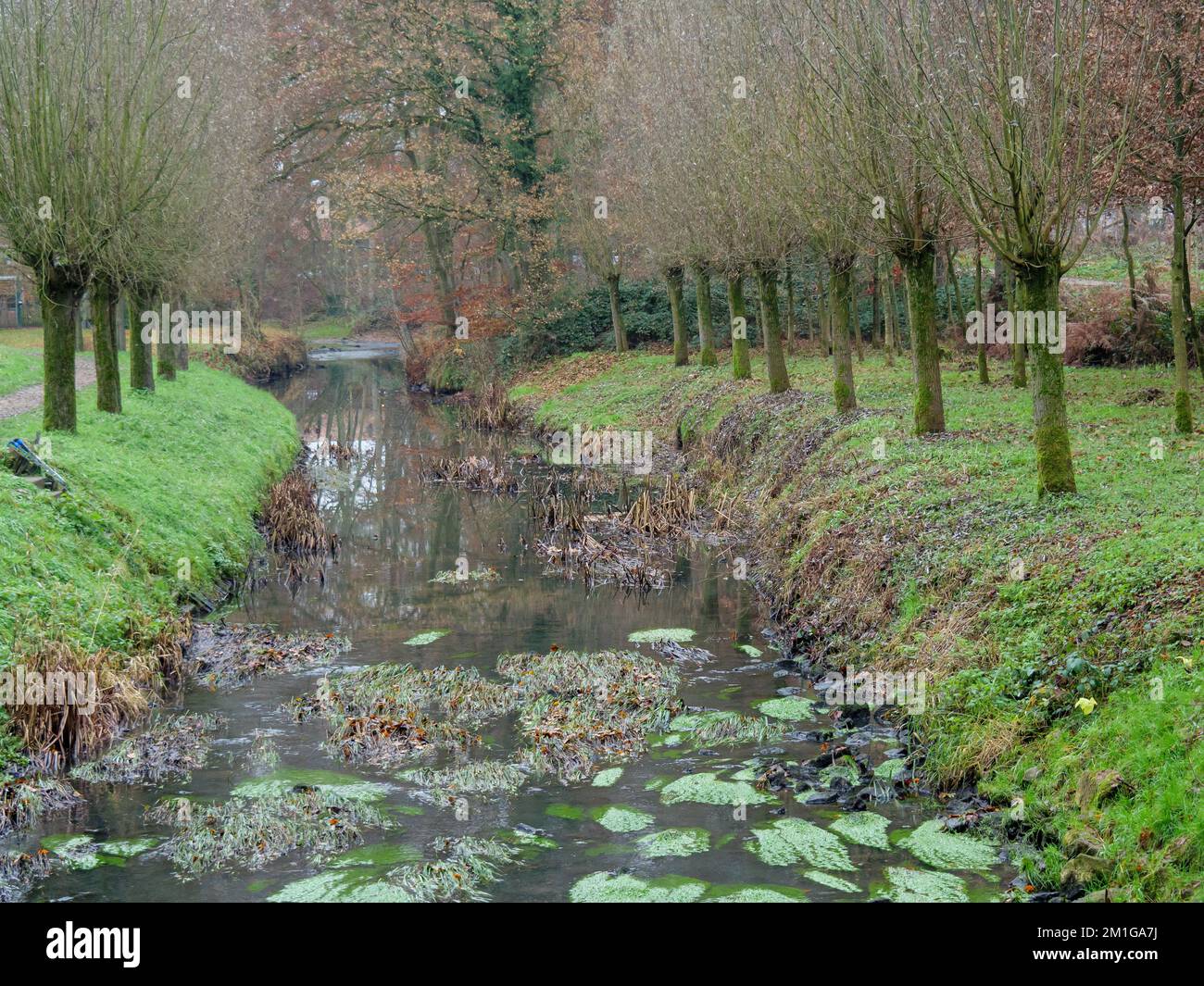 hiking at the dutch border in germany Stock Photo - Alamy