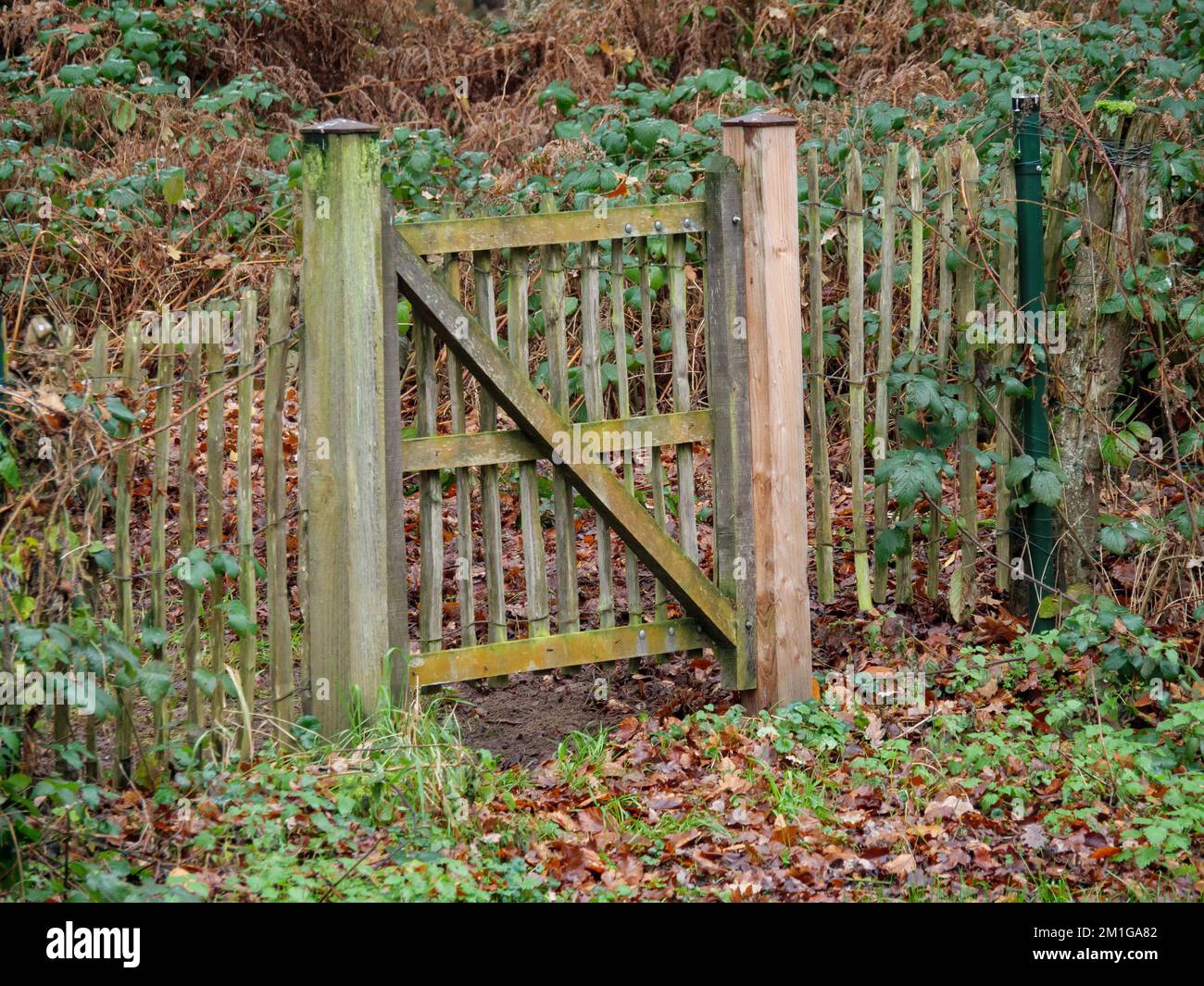 hiking at the dutch border in germany Stock Photo - Alamy