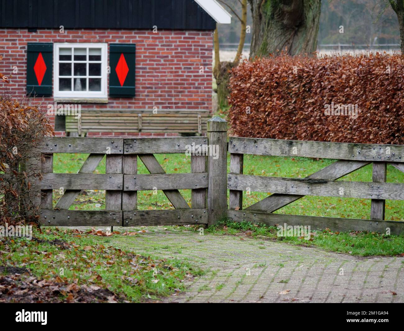 hiking at the dutch border in germany Stock Photo - Alamy