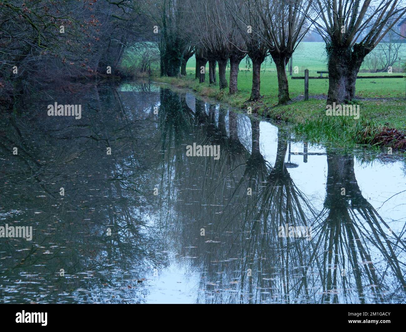 hiking at the dutch border in germany Stock Photo - Alamy